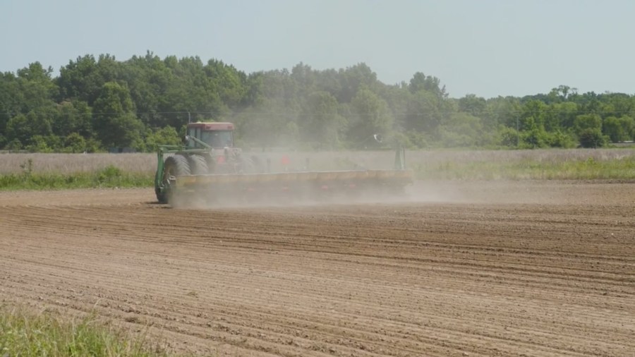 Arkansas farmers warn of crisis as lawmakers hear calls for immediate ...