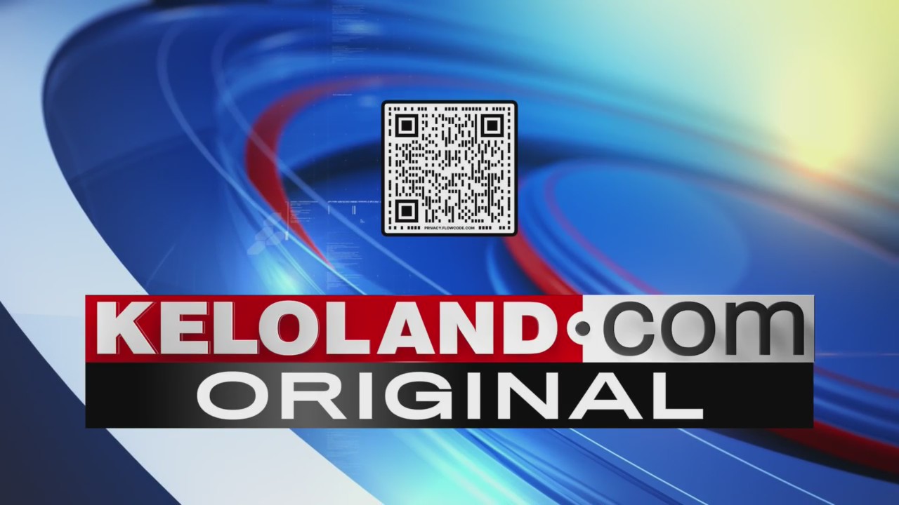 Backlash in Brandon over plans to remove park trees