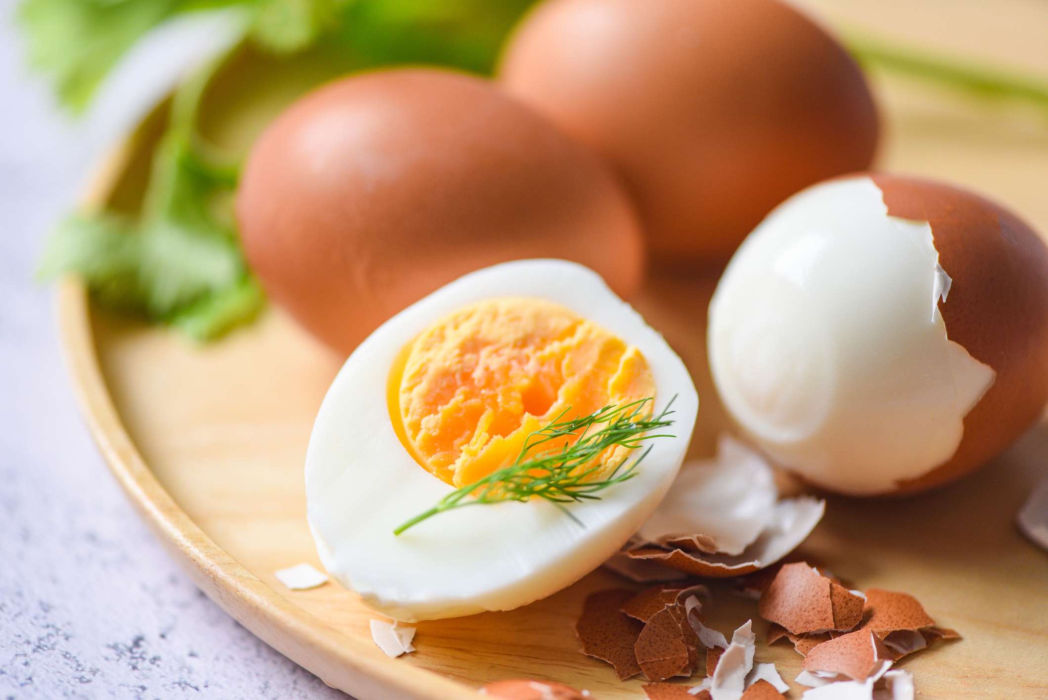 How much protein is in an egg?