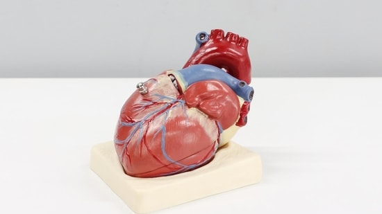 Cardiologist reveals 5 tips to heal your heart in 90 days: ‘68% o ...