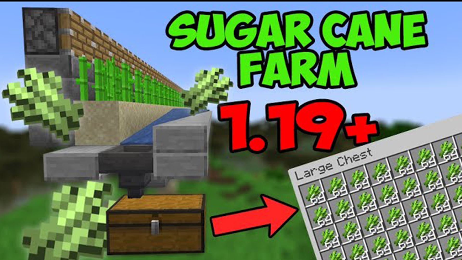 Automatic Sugar Cane Farm Minecraft 1.19+