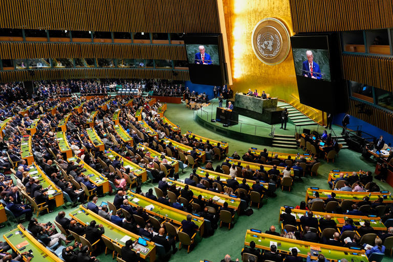Photo highlights from the 80th UN General Assembly in New York