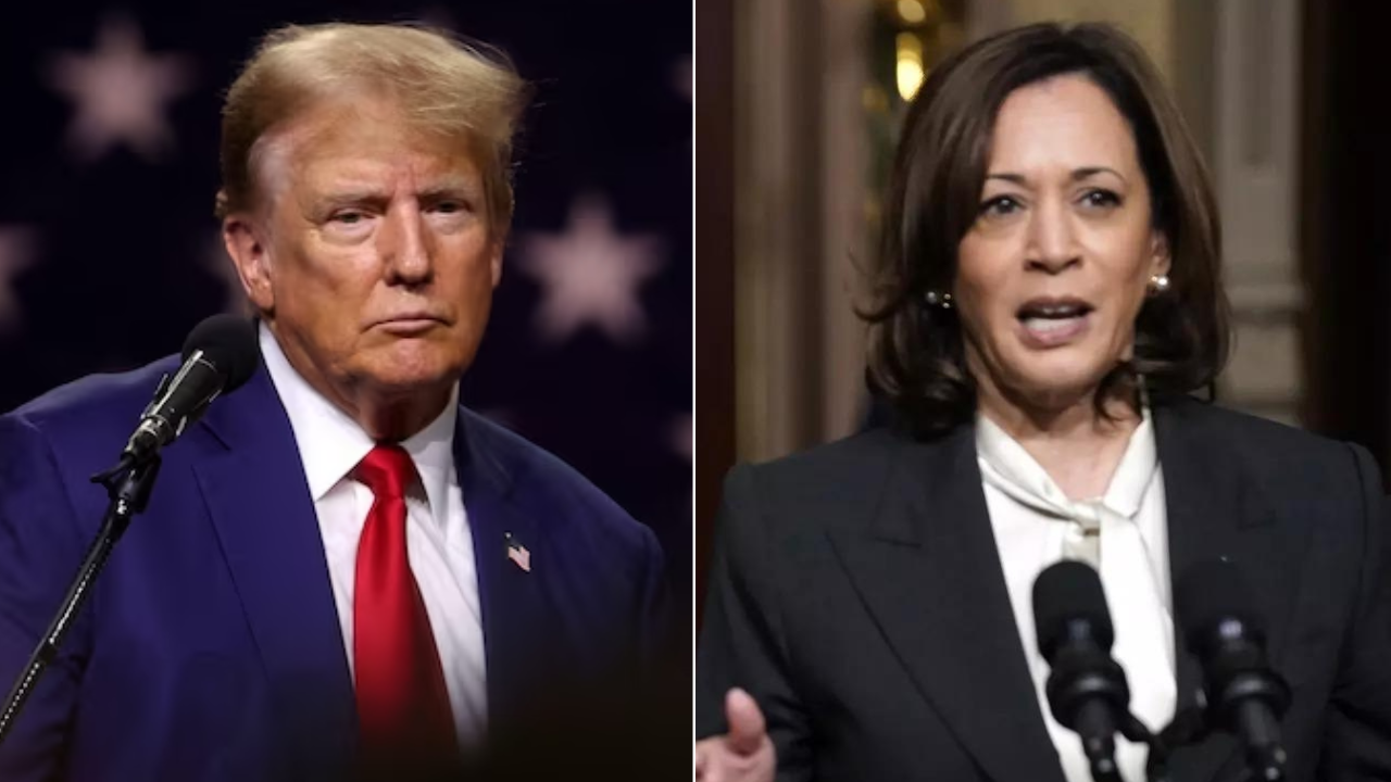 2024 presidential election: Why did Kamala Harris lose to Trump? Former ...