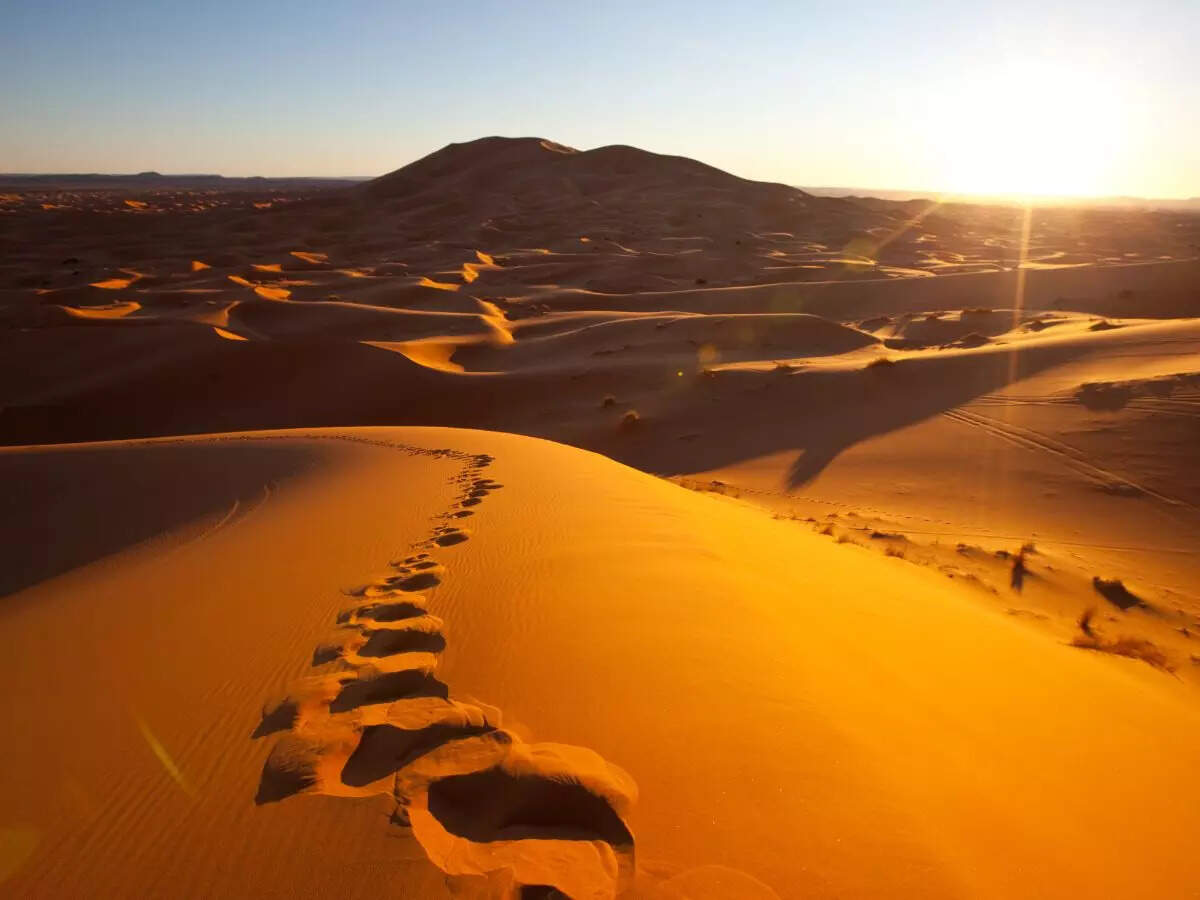 Countries with the largest desert areas in the world