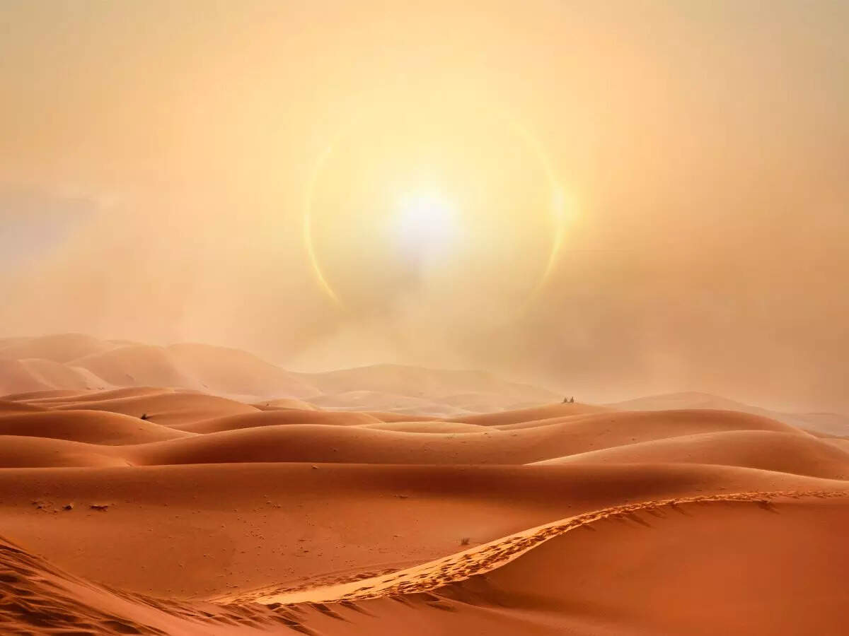 Countries with the largest desert areas in the world
