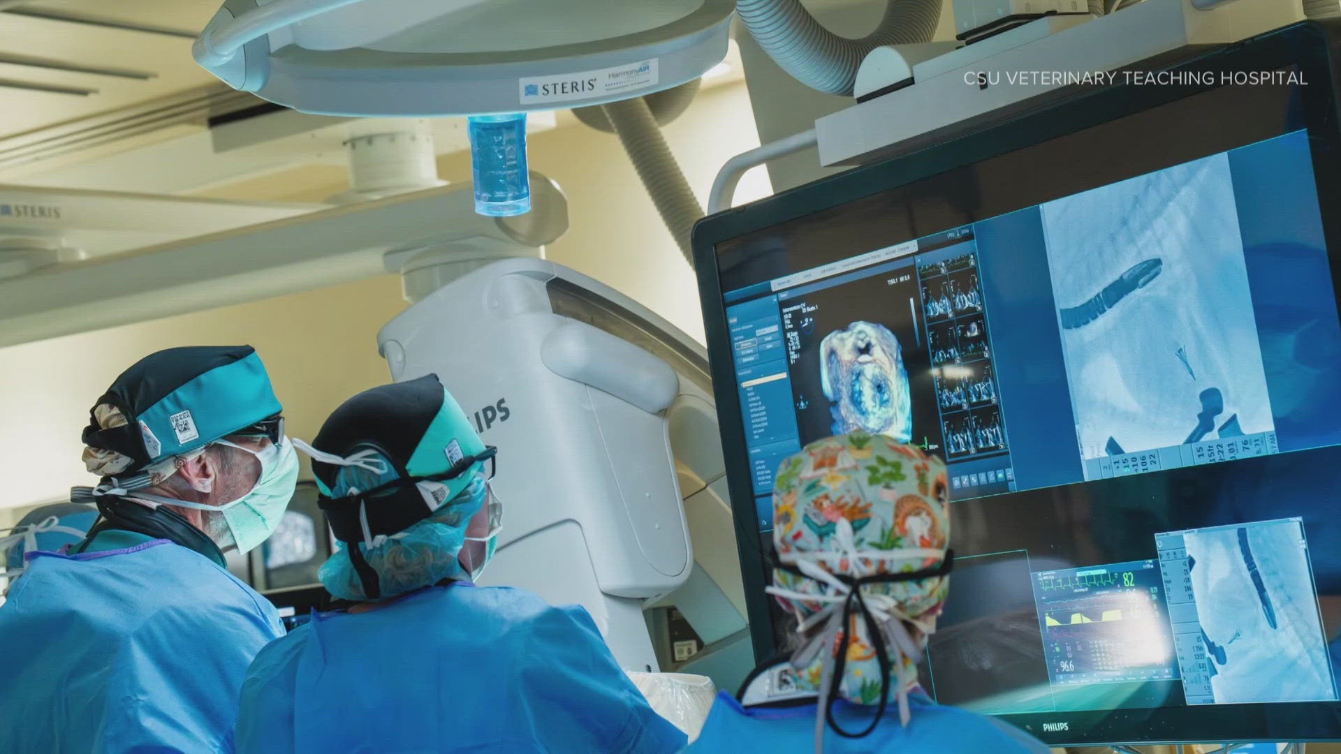 CSU's heart device for dogs, approved for humans by FDA