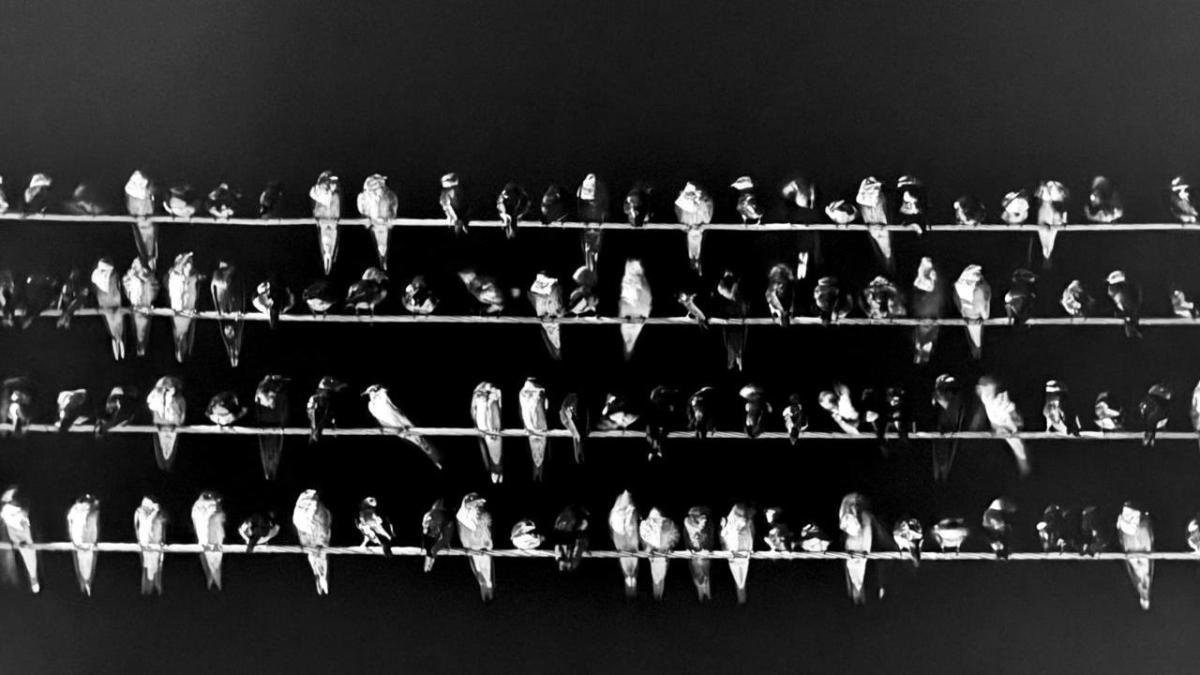 The Sense of Silence Art Gallery acoge una inédita inmersión visual y ...