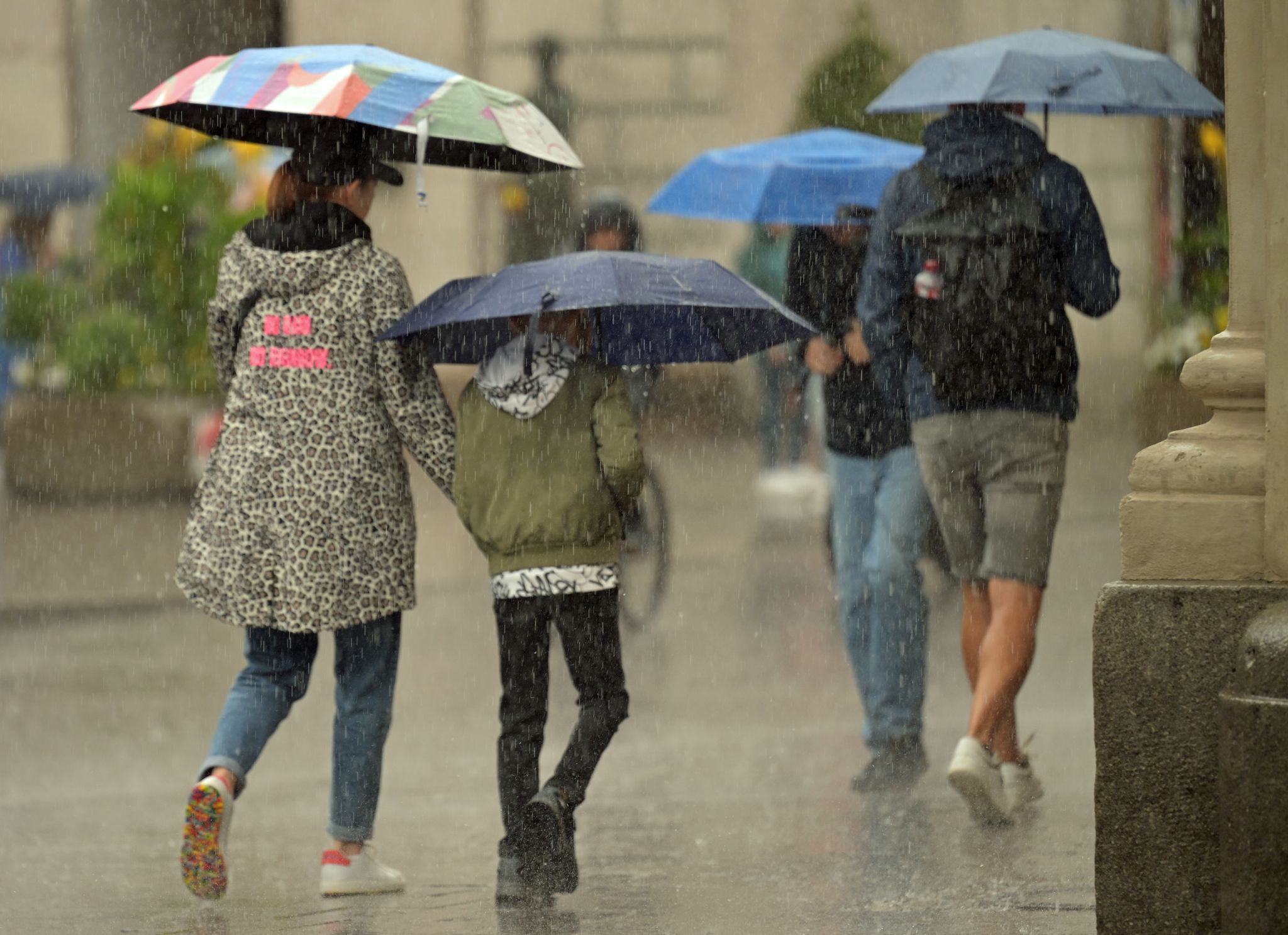 DWD erwartet Dauerregen in Bayern - Schnee in den Bergen