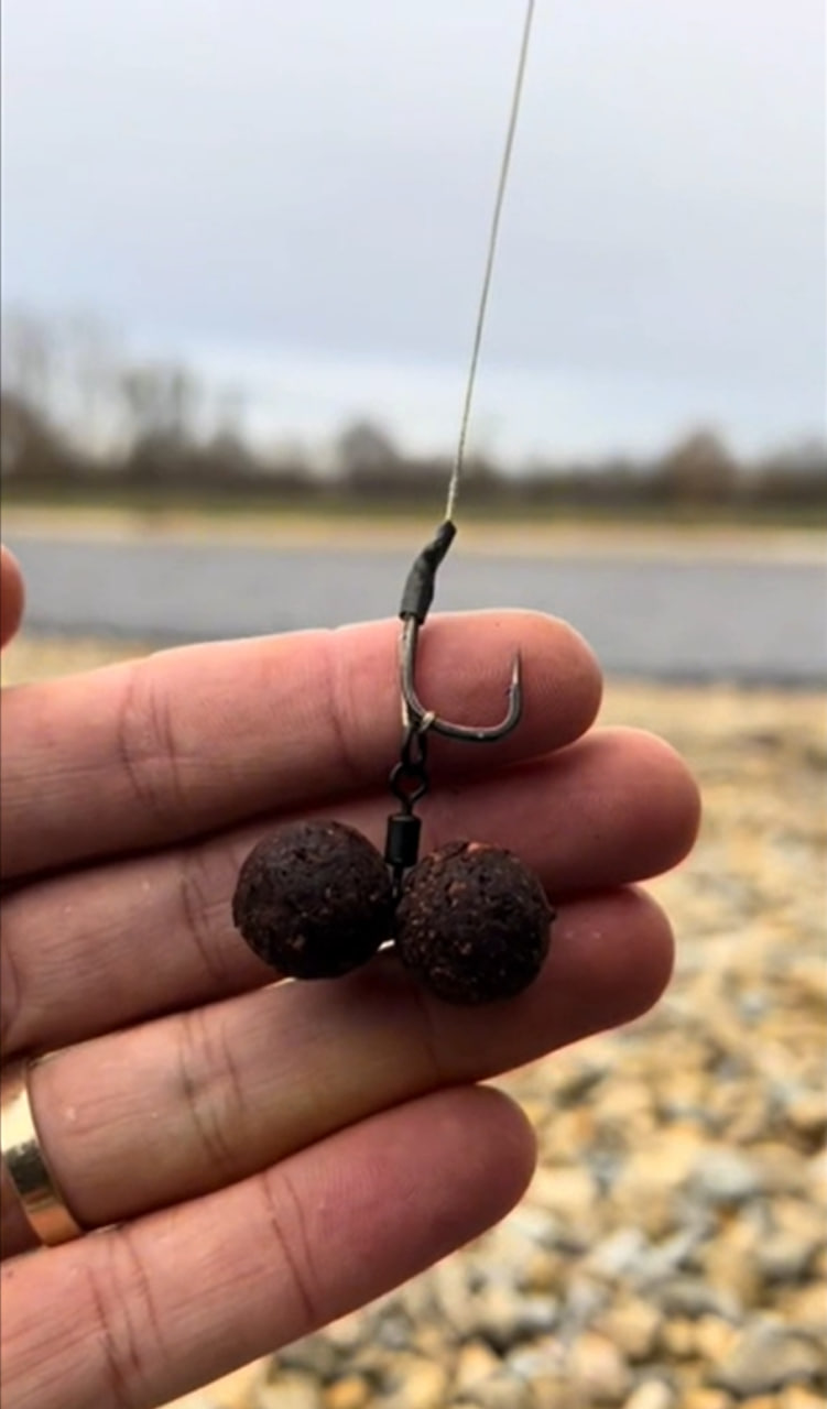 Carp Fishing Action: Rig Setup Tips and Tricks