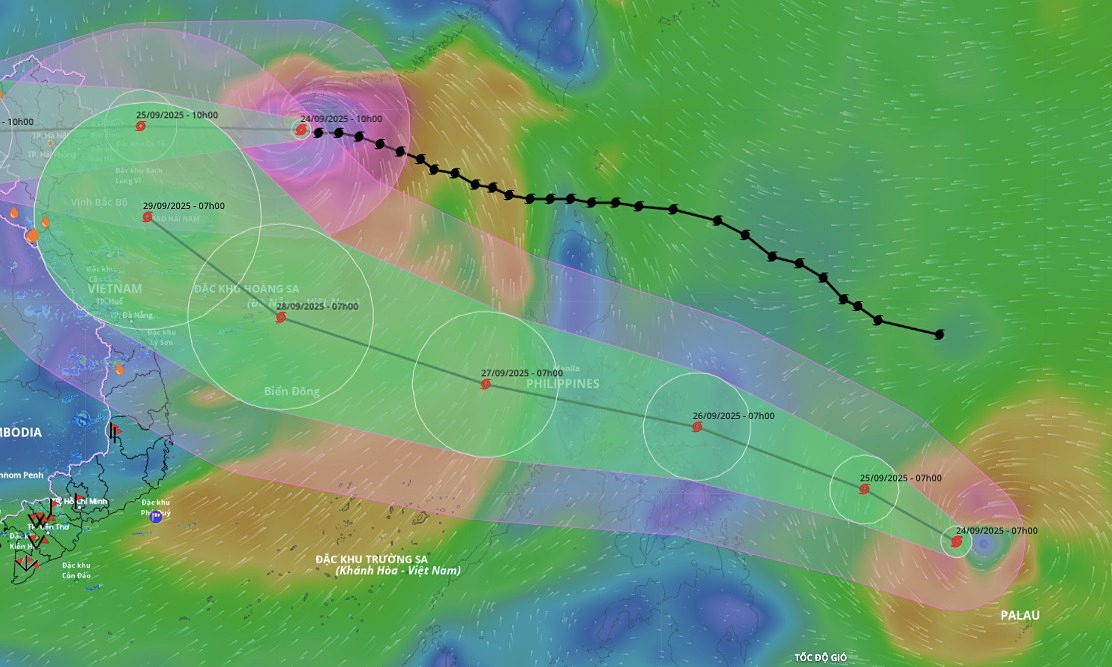 Storm Bualoi to enter East Sea, US predicts Vietnam landfall
