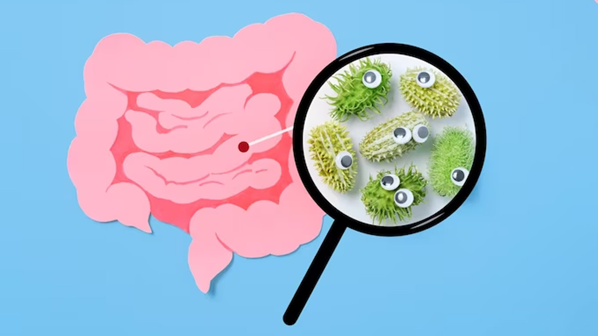 CDC Issues Urgent Warning on Nightmare Bacteria: Here's What You Should ...