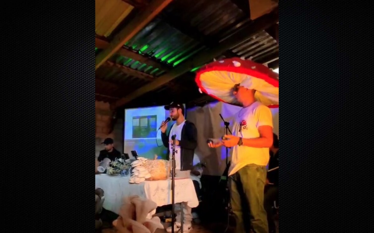 'Los Yuma Project', el colectivo duranguense que hizo música con hongos ...