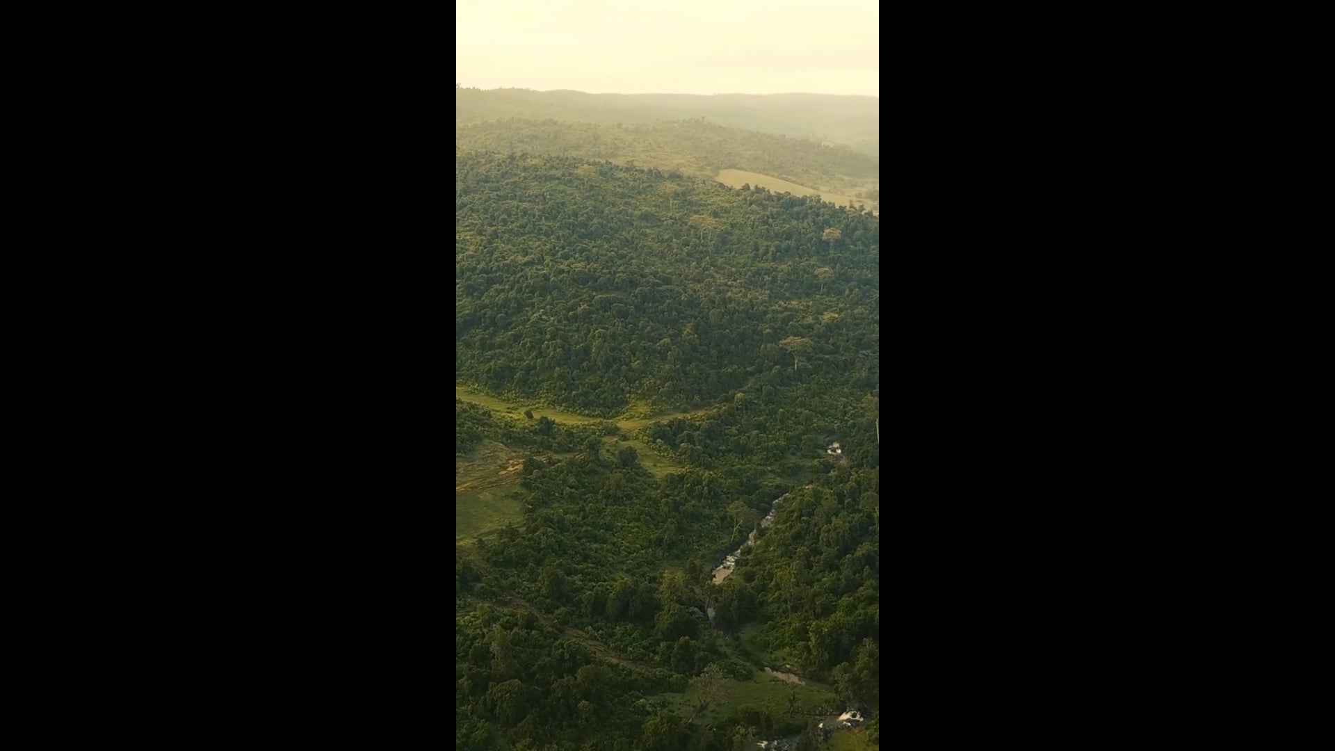 Sky-High Safari: A Drone's Glimpse into Maasai Mara's Ecosystem.