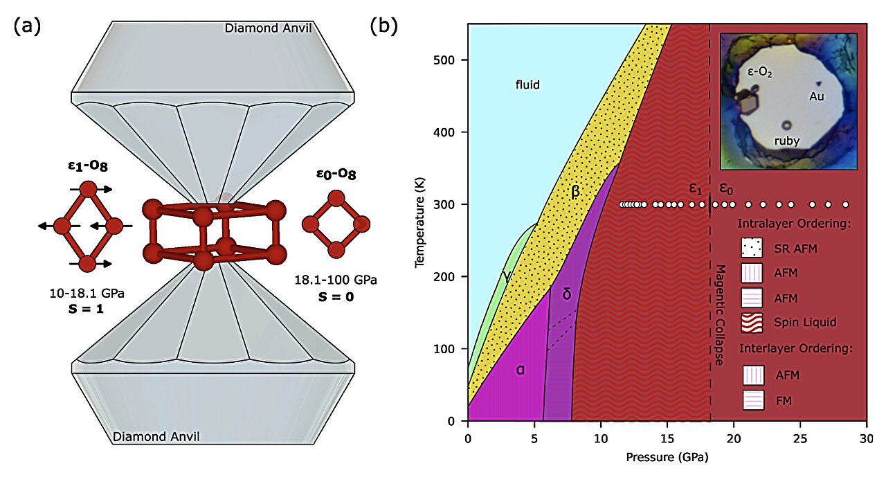 Evidence of a spin-liquid state emerges in pressurized oxygen