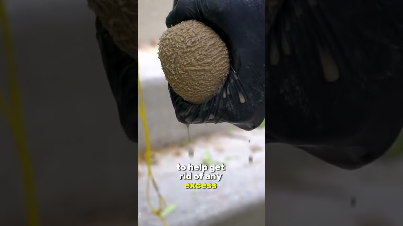 How to make clay from dirt easily with simple household steps