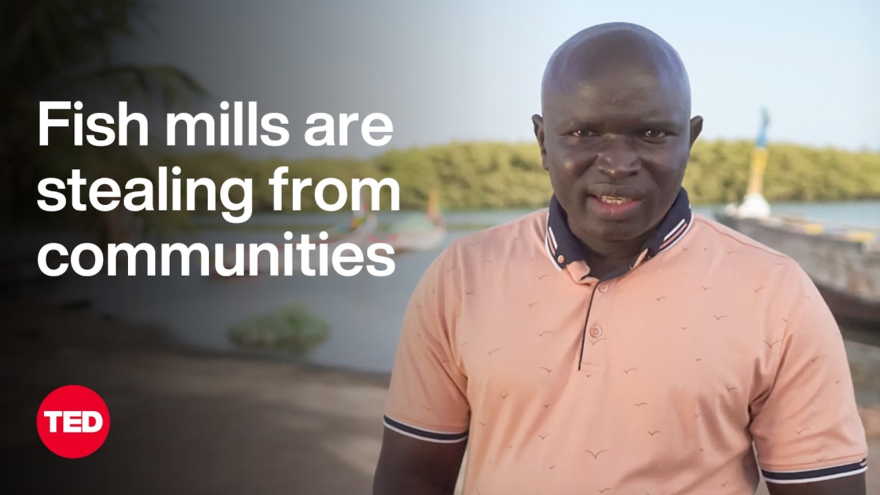 How Industrial Fishing Is Destroying Coastal Communities