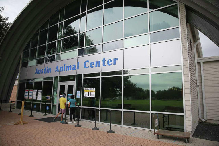 No-delay spaying of pregnant pets would undermine no-kill promise | Opinion