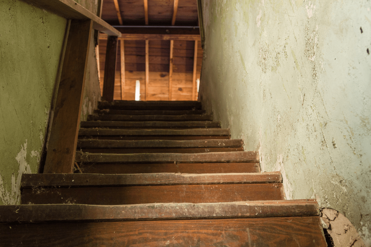 Hidden Room Found After 13 Years and the Dreams That Predicted It