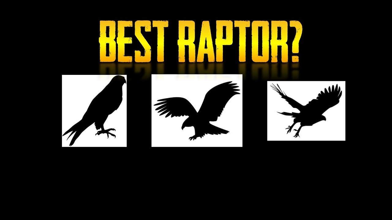 The Science of Raptors: Which Species Deserve the Top Tier?