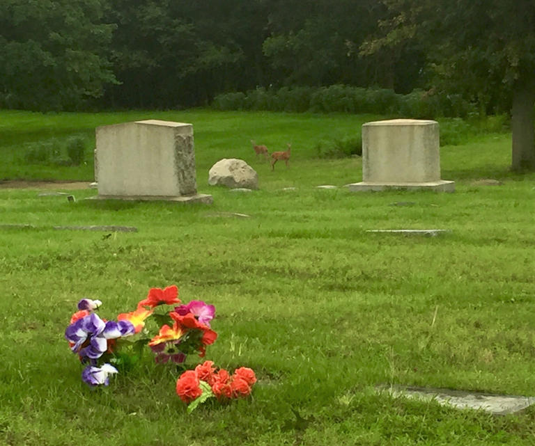 Quiet and haunting, 3 hidden cemeteries in New Jersey named among most ...