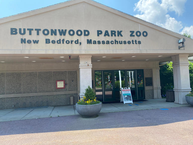 Buttonwood Park Zoo reapproved by AZA, reinforcing animal care standards