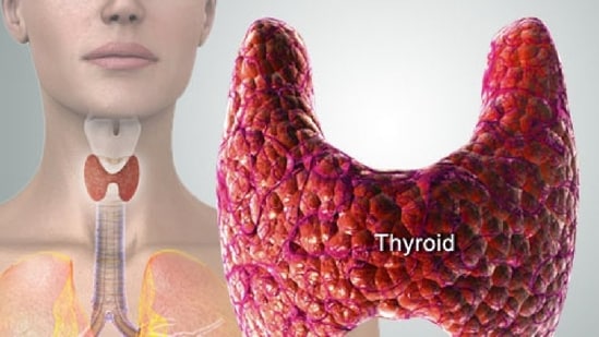 Oncologist lists 7 red flags of thyroid cancer to watch out for; shares ...