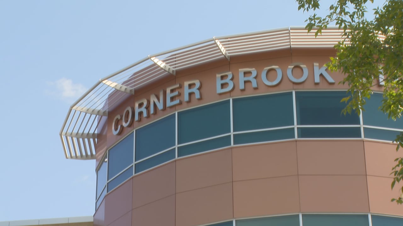 Corner Brook will have a new mayor next month, and 15 candidates are ...