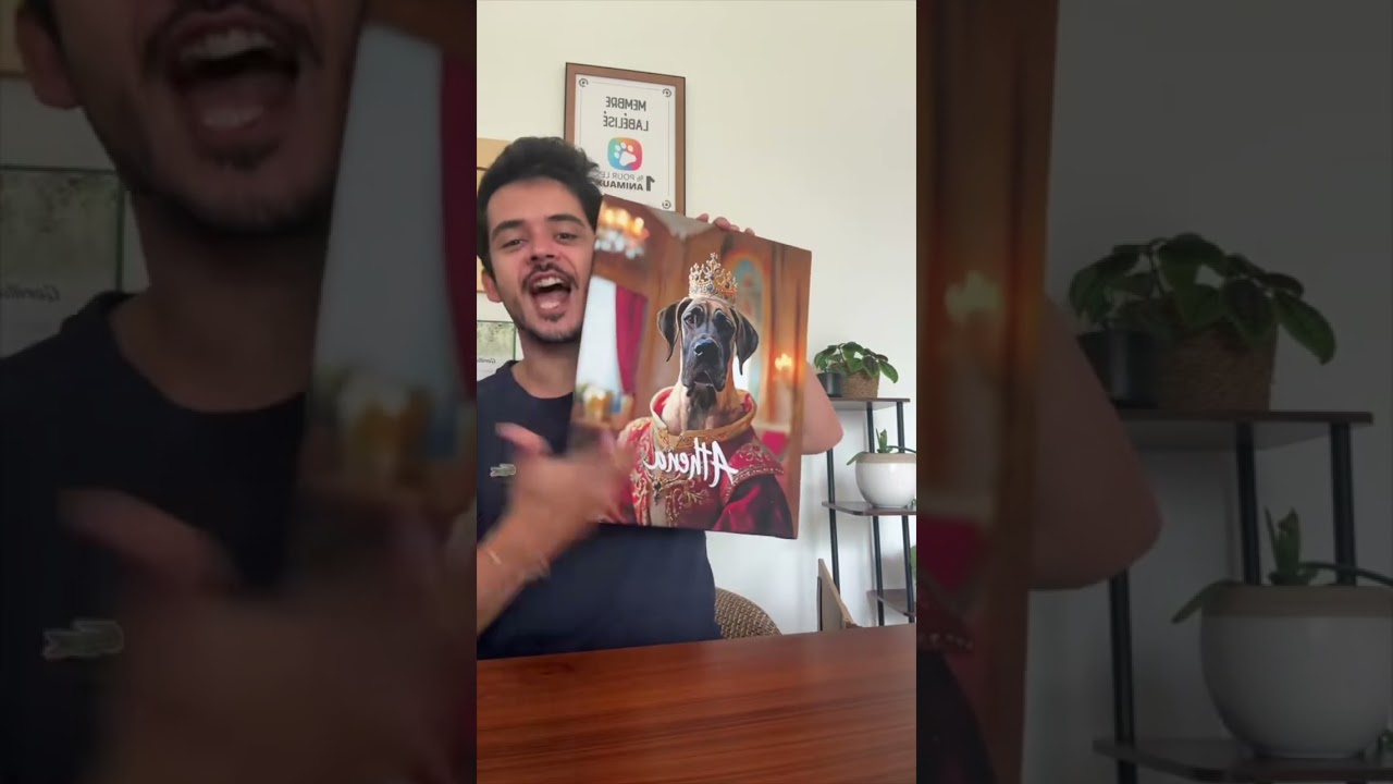 Portrait de tous mes animaux