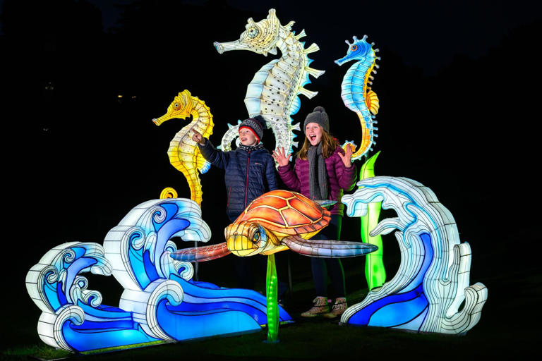 It’s o-fish-ially back! Edinburgh Zoo welcomes return of Giant Lantern ...