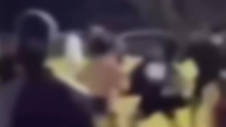 'A lot of kids crying': Families caught up in wild park brawl