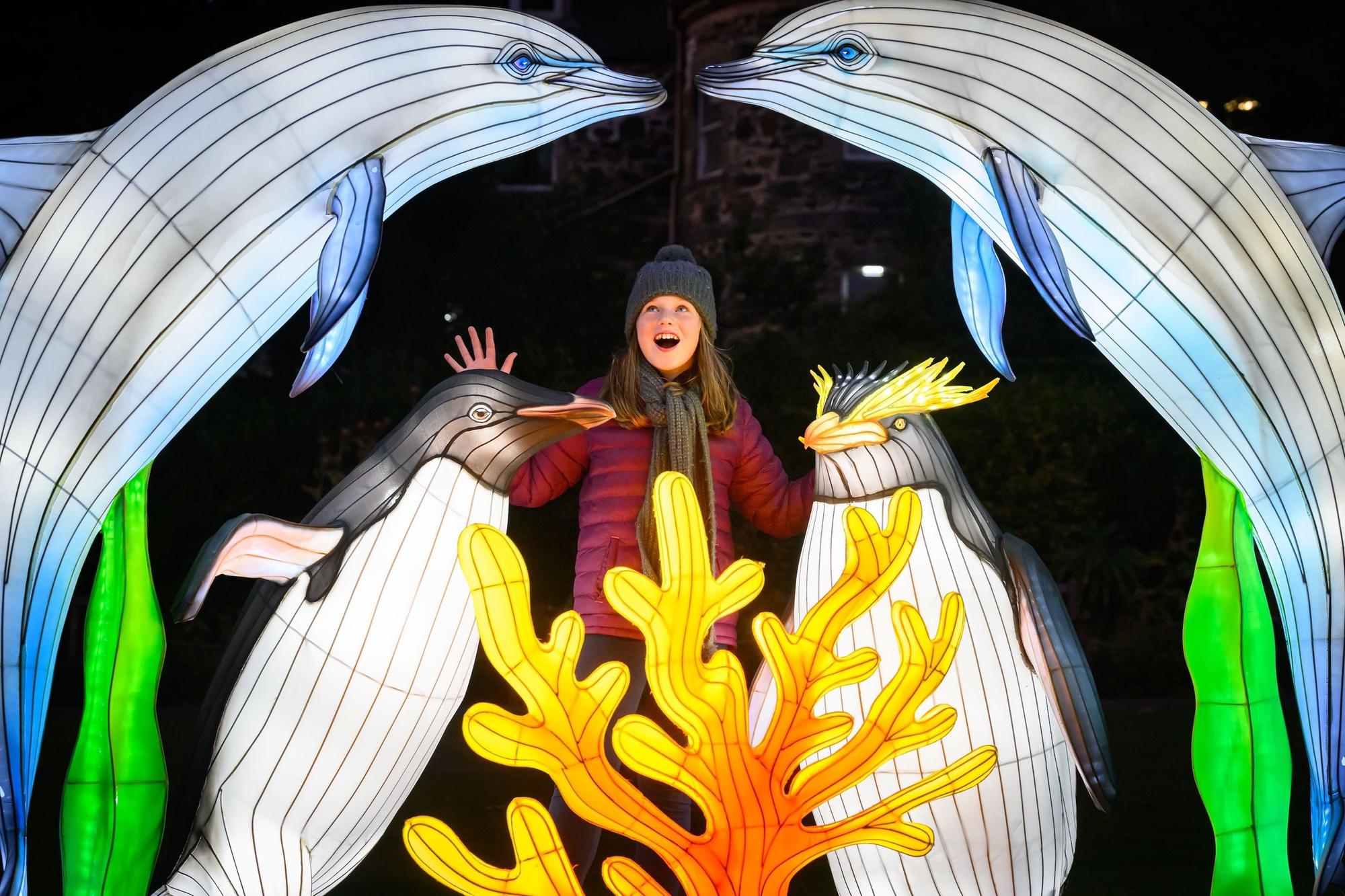 It’s o-fish-ially back! Edinburgh Zoo welcomes return of Giant Lantern ...