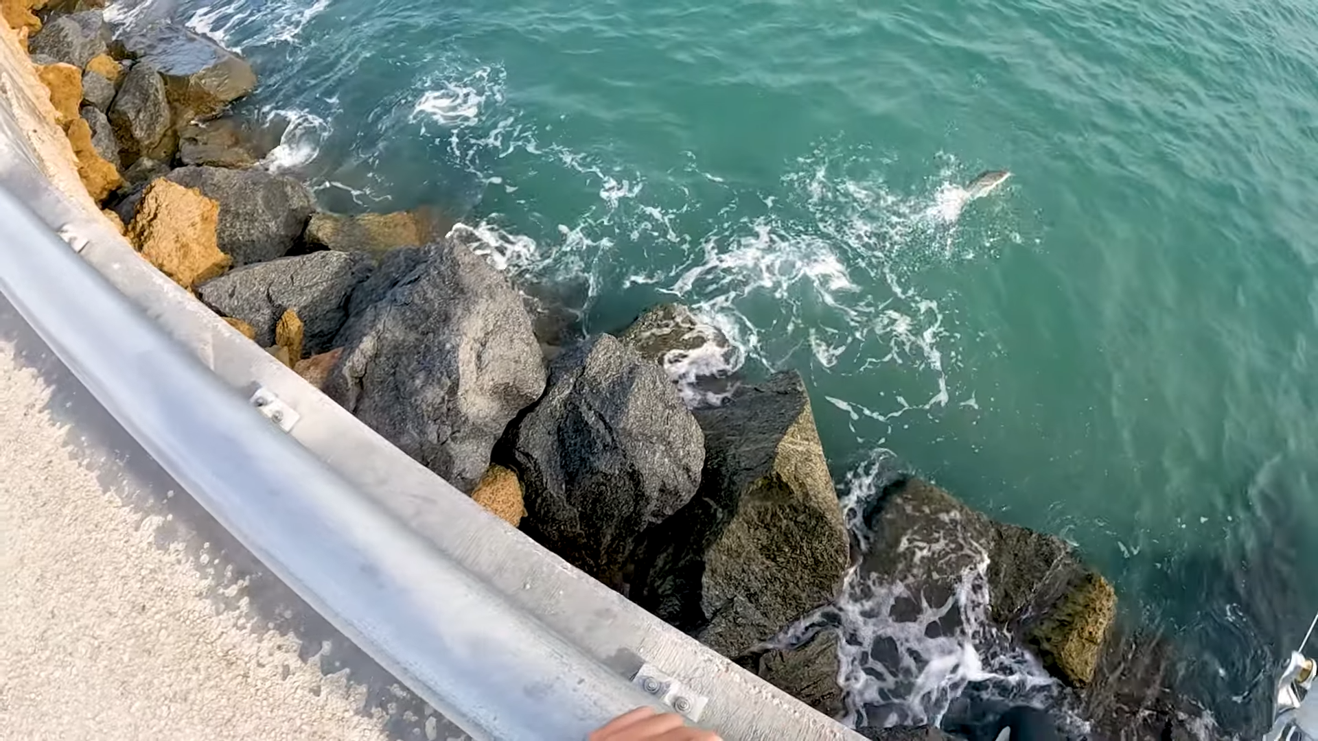 The Rare Jetty Fishing Moment You Won’t Believe