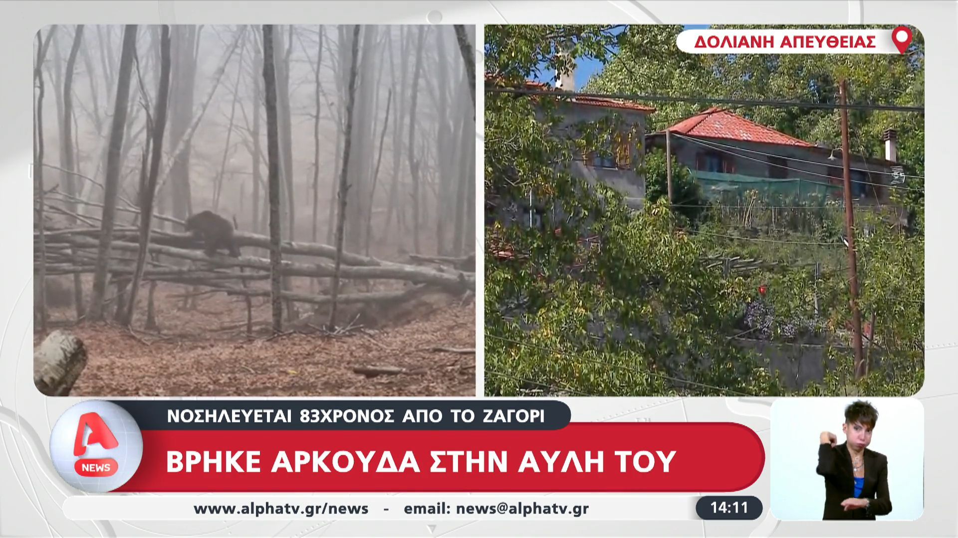 Στο νοσοκομείο 83χρονος - Βρήκε αρκούδα στην αυλή του