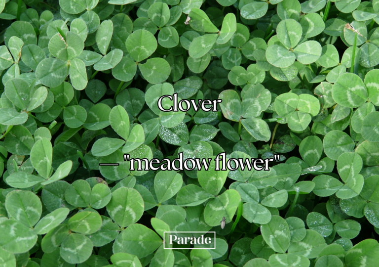 125 of the Coolest Boy Names That Start With 'C'