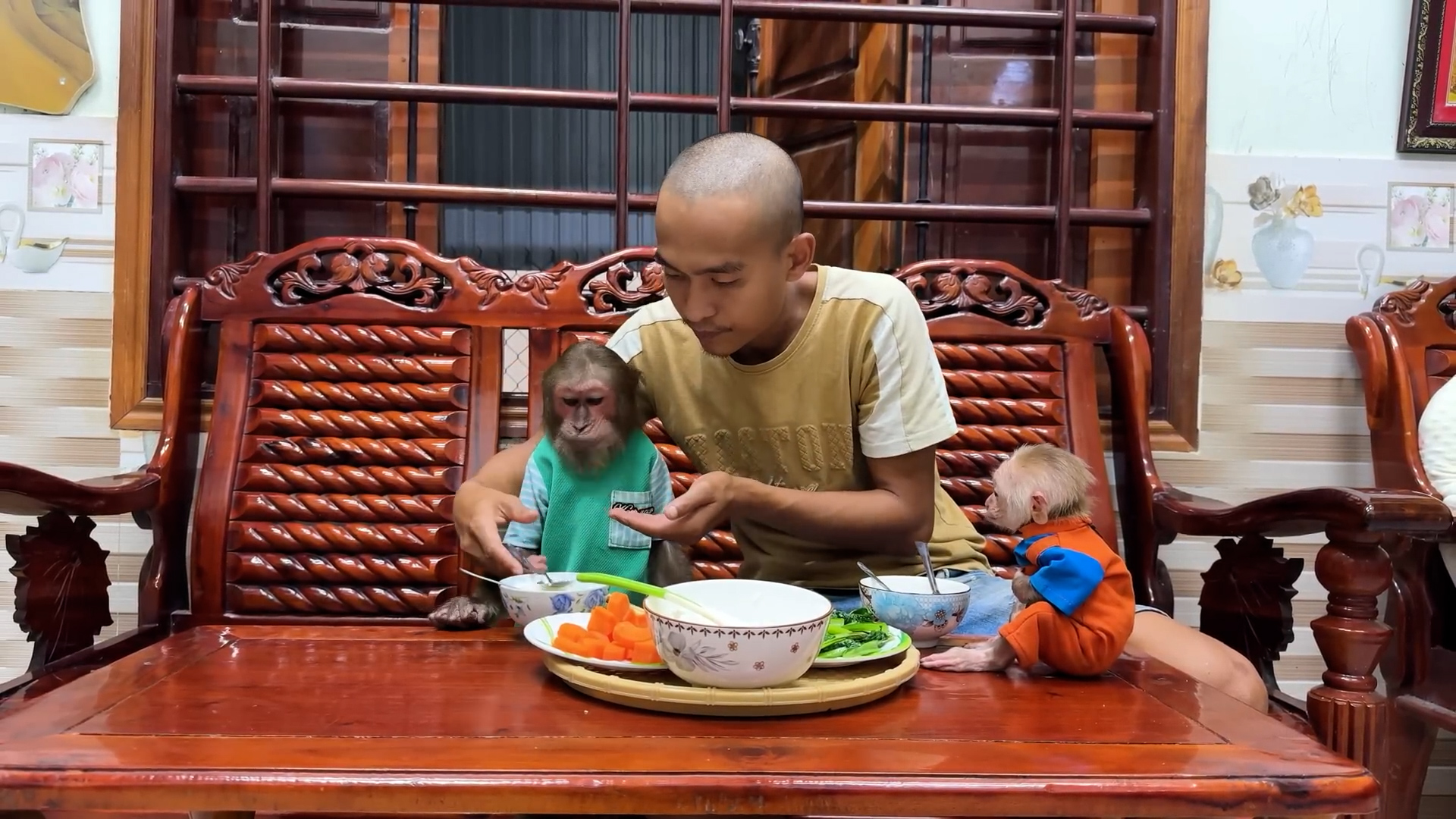 Baby Monkey Hides to See Phone