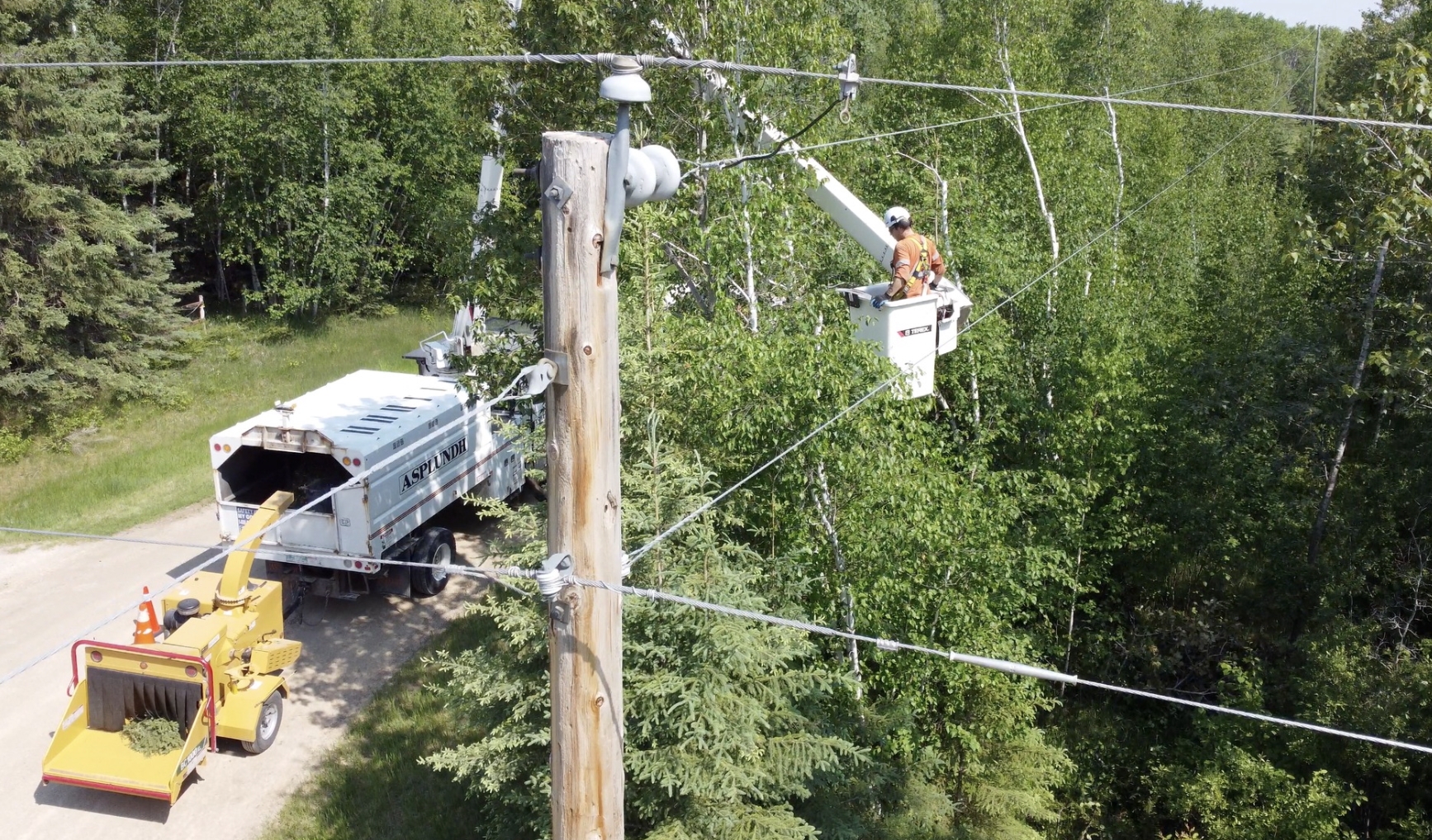 Manitoba Hydro Launches Interactive Map to Track Tree-Clearing Work