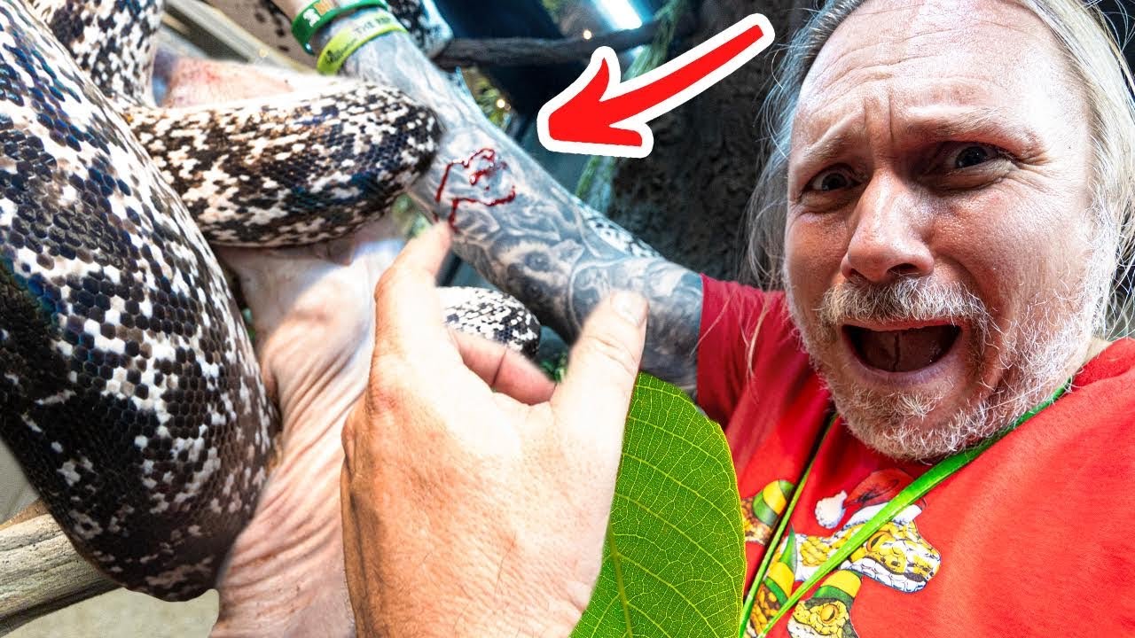 WHY DID MY TAME SNAKE BITE ME?? | BRIAN BARCZYK