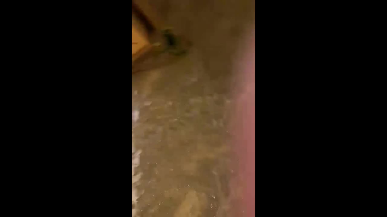 Floods crash through hotel doors amid Typhoon Ragasa onslaught in Hong Kong