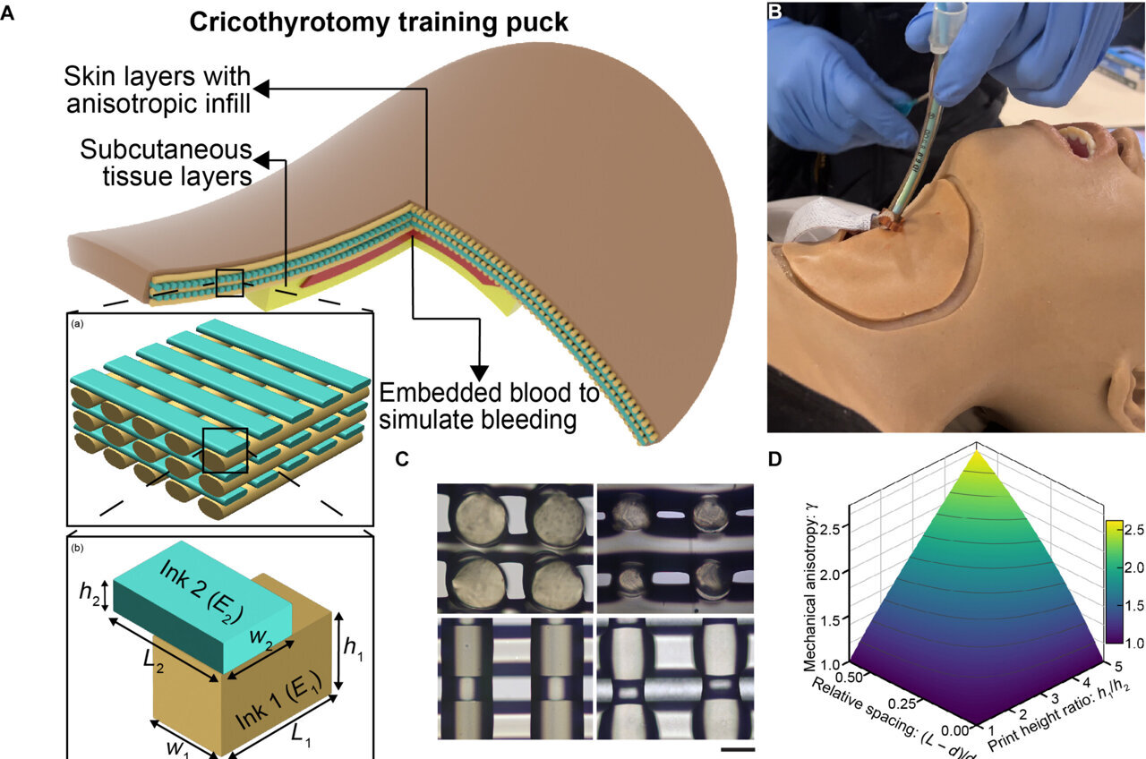 3D-printed tissue brings new realism to medical training