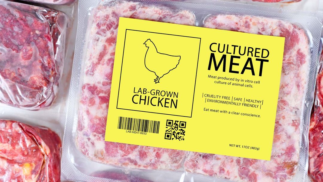 What's the Future of Meat?