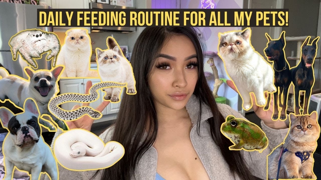Daily Feeding Fun With All 14 of My Pets