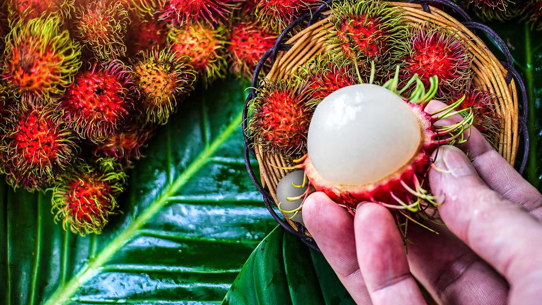 Top Strangest Looking Fruit