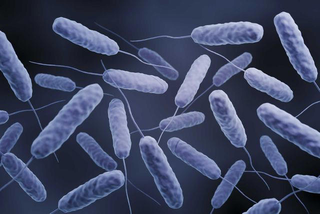 Virginia Dad Wades in Calf-High Water, Dies 2 Weeks Later of Flesh ...