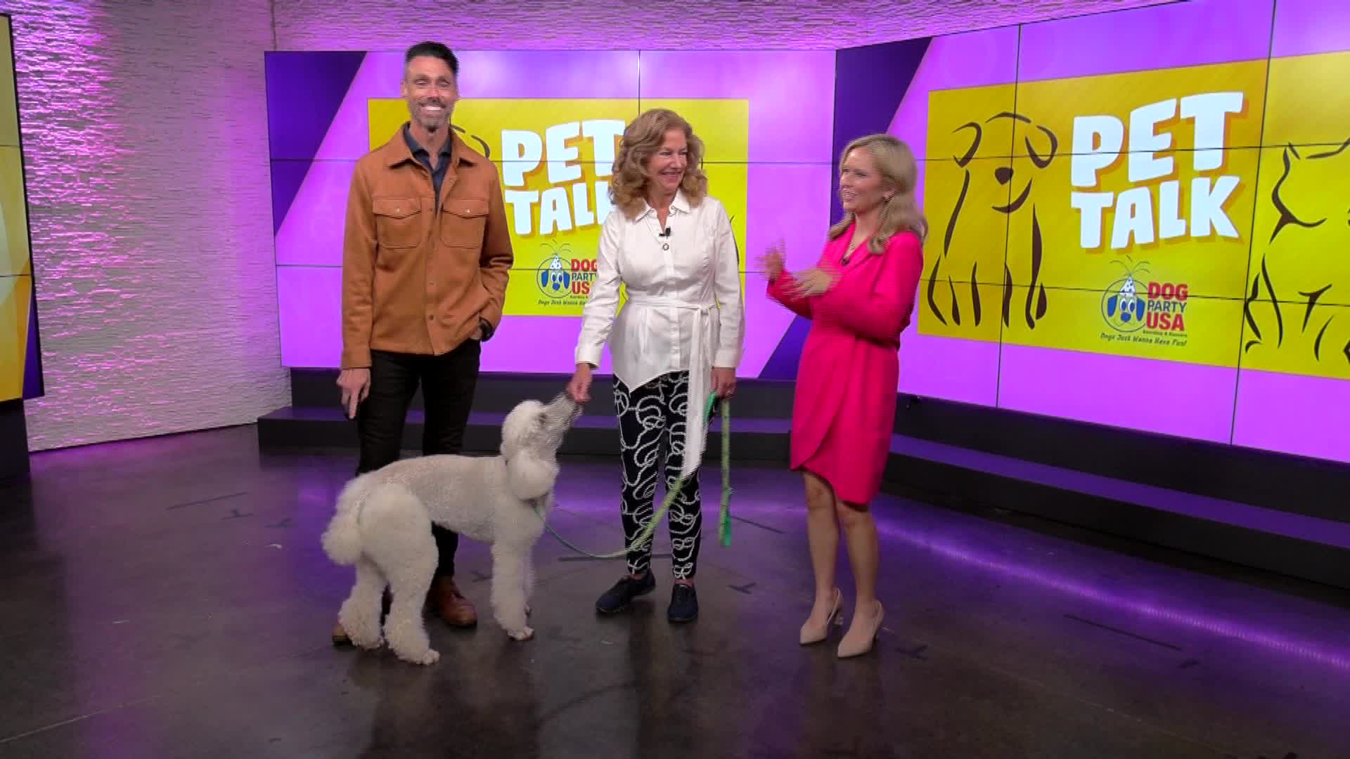 Pet Talk: Pros and Cons of Spaying or Neutering Your Pet