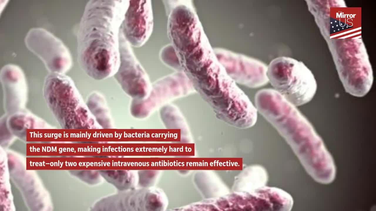 CDC Warns: Drug-Resistant 'Nightmare Bacteria' Spreads Rapidly