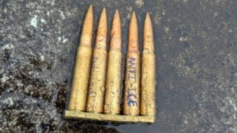 Suspect in fatal immigration centre shooting named - as his brother ...