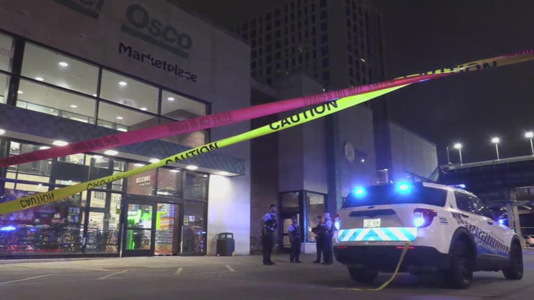 Chicago woman accused of shooting teen outside South Loop grocery store ...