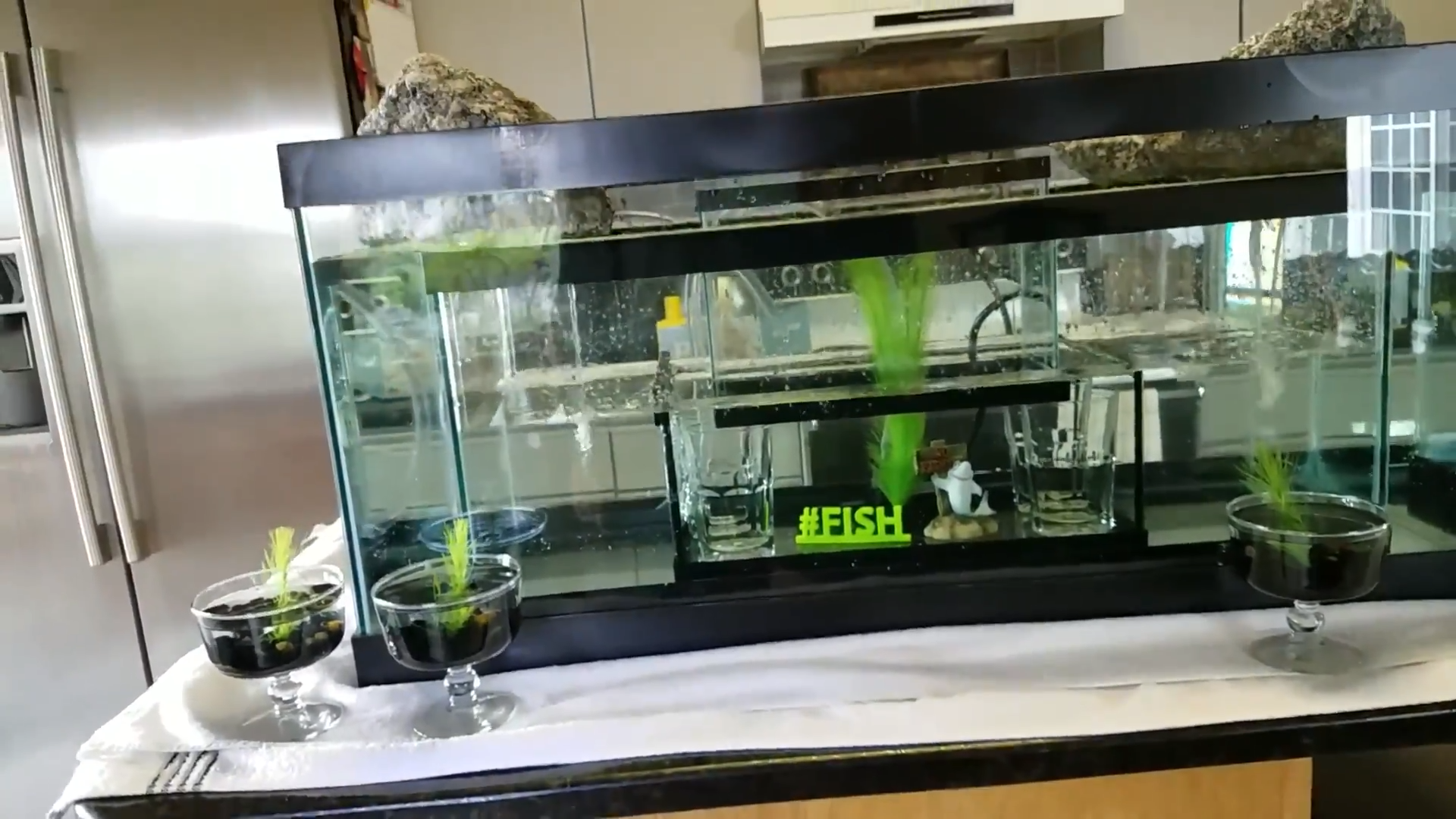 4 Tanks In One – The Ultimate DIY Aquarium Build