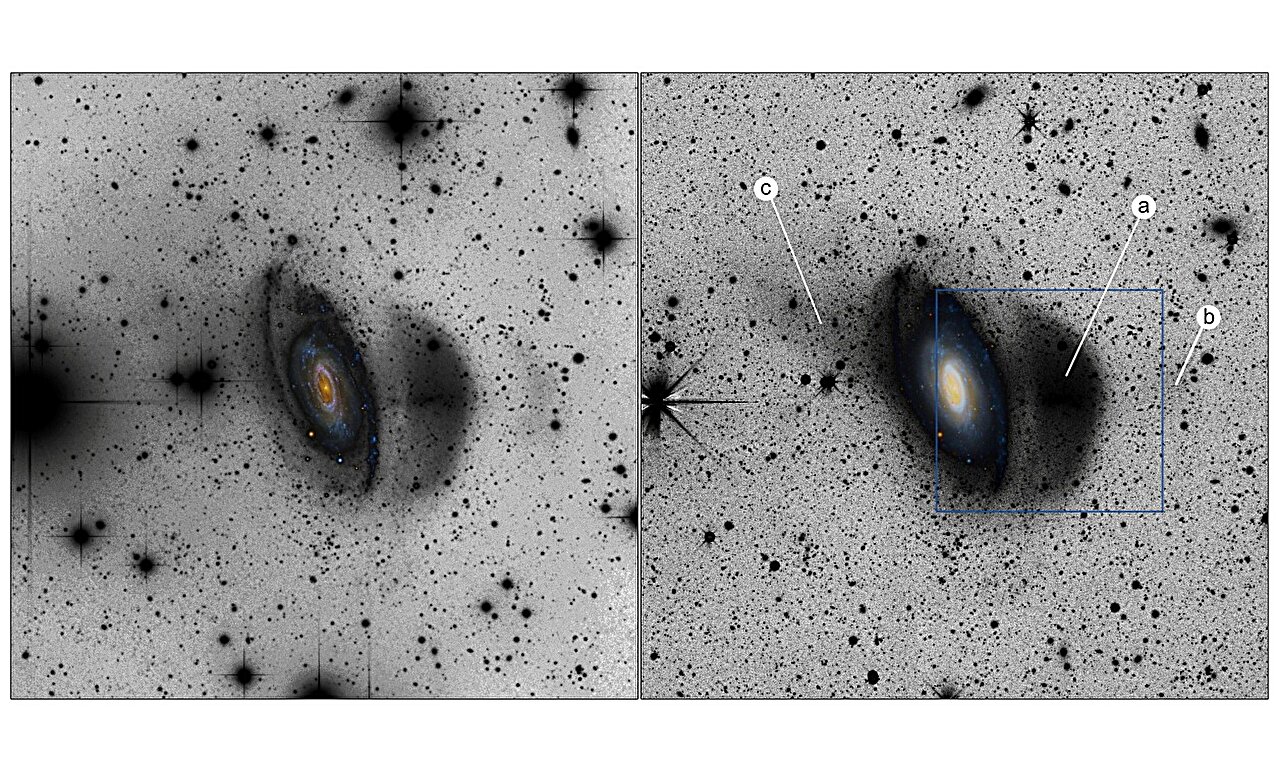Observations investigate a compact stellar system around nearby galaxy