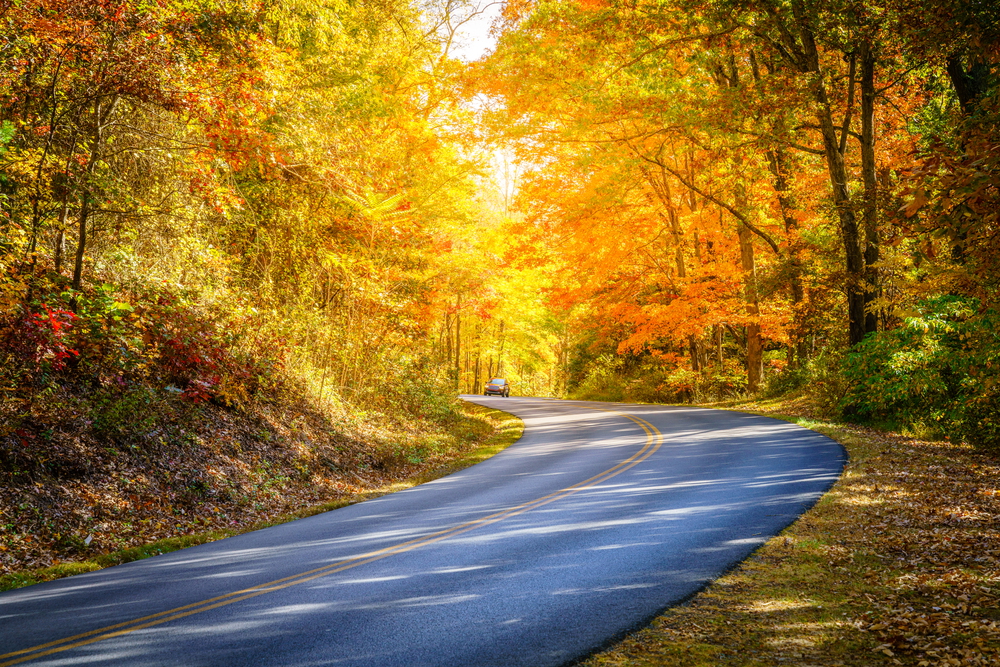 Routes to map out before you drive